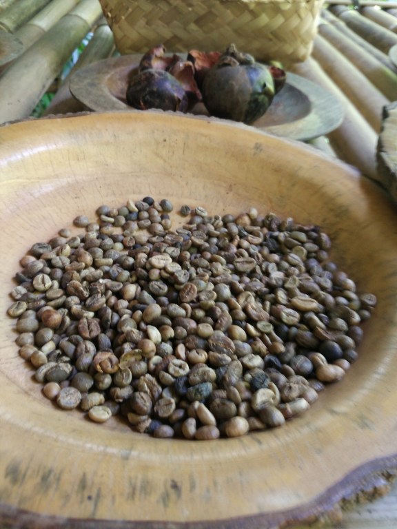 Bali, Indonesia - And the Glories of Drinking Poo, AKA Luwak Coffee ...