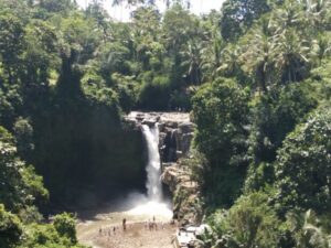 Bali, Indonesia - And the Glories of Drinking Poo, AKA Luwak Coffee ...